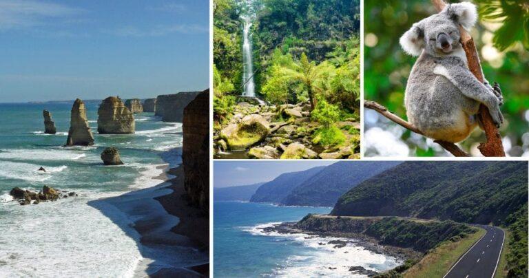 Great Ocean Road Wonders: Top Attractions and Destinations